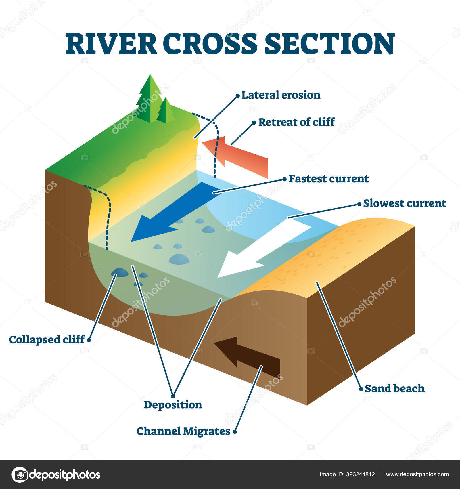 Przekrój rzeki z etykietą struktury edukacyjnej wektor ilustracji ...