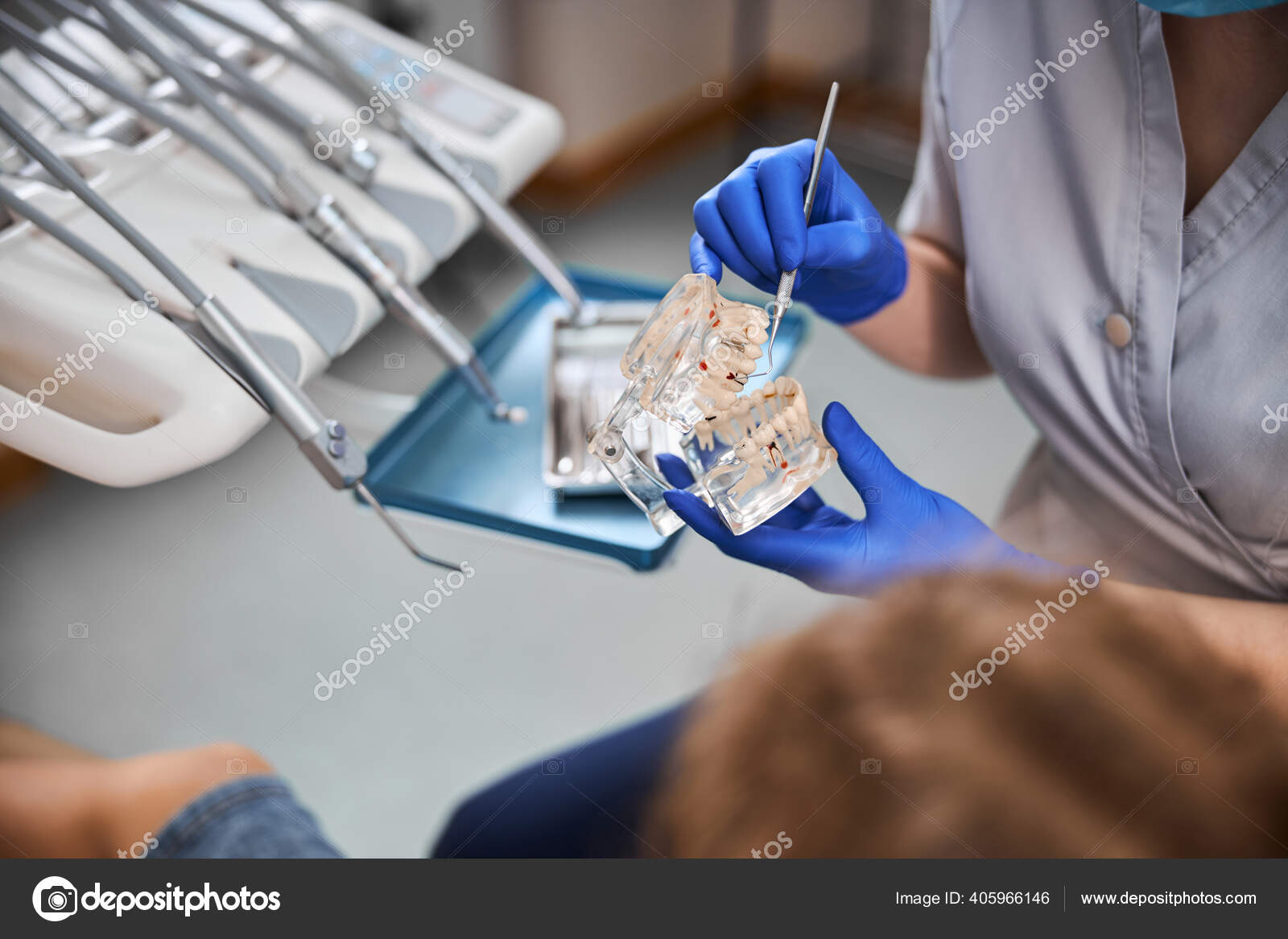 Human teeth anatomy explained by a dentist Stock Photo by ...