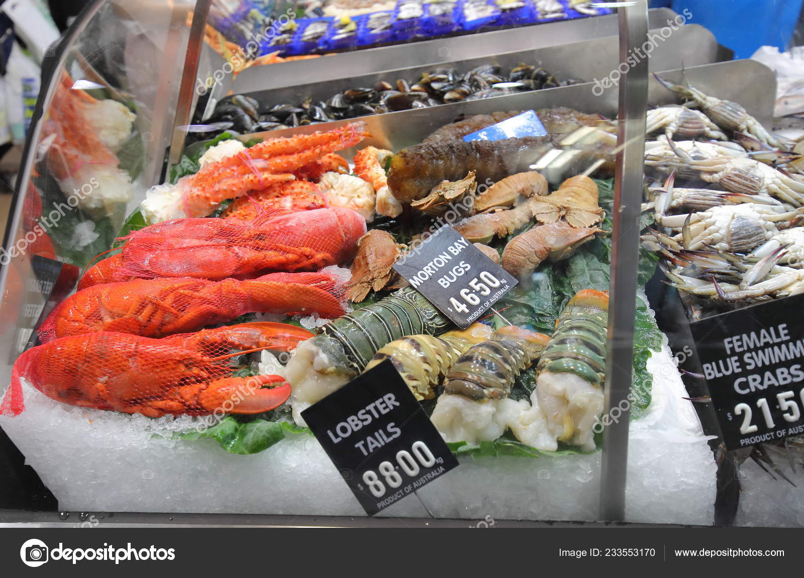 Australian Fresh Seafood