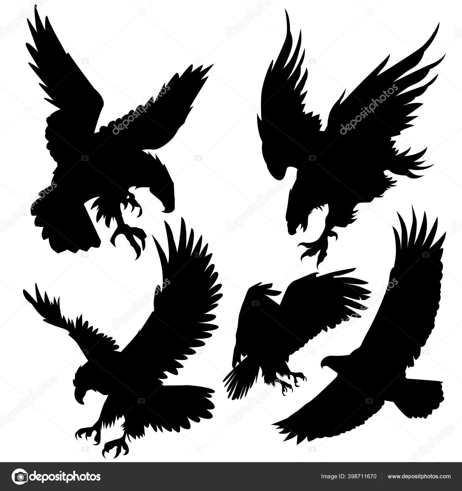 Eagle Silhouette Attack Hunt Sky Black Vector Stock Vector Image by ...