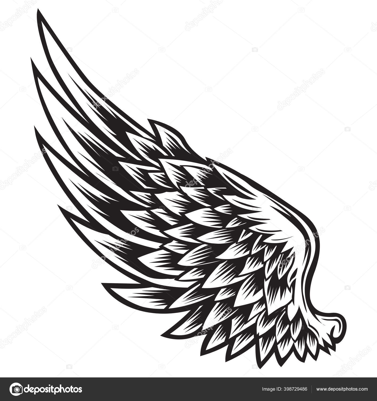 Wings Bird Black White Bird Wings Feathers Vector Illustrator Stock ...