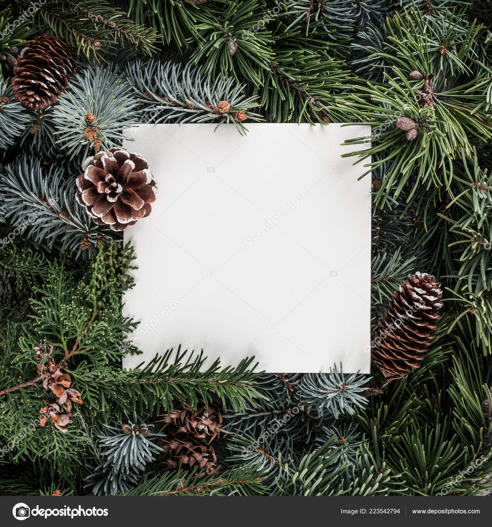 Creative Layout Made Christmas Tree Branches Paper Card Note Pine Stock ...