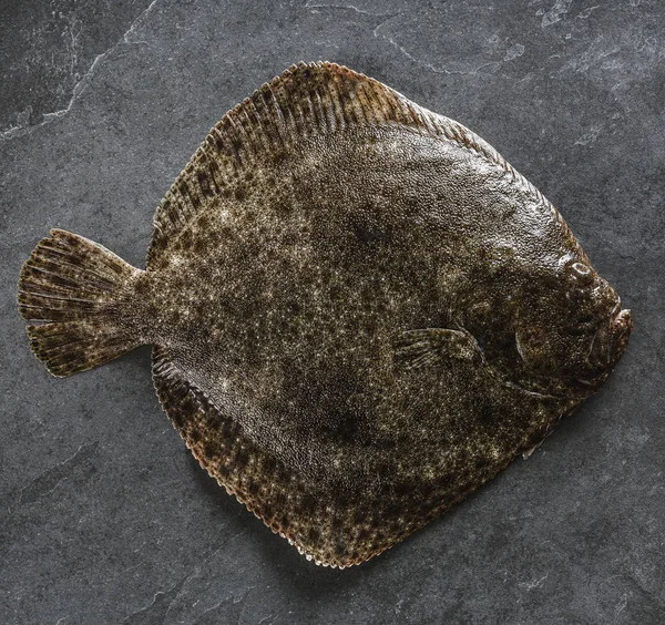 Flounder fish Stock Photos, Royalty Free Flounder fish Images ...