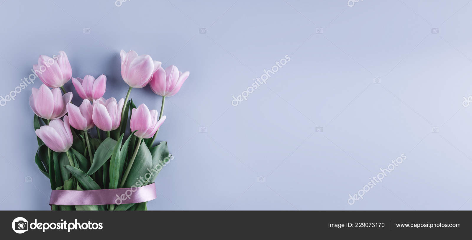 Light Blue Tulips