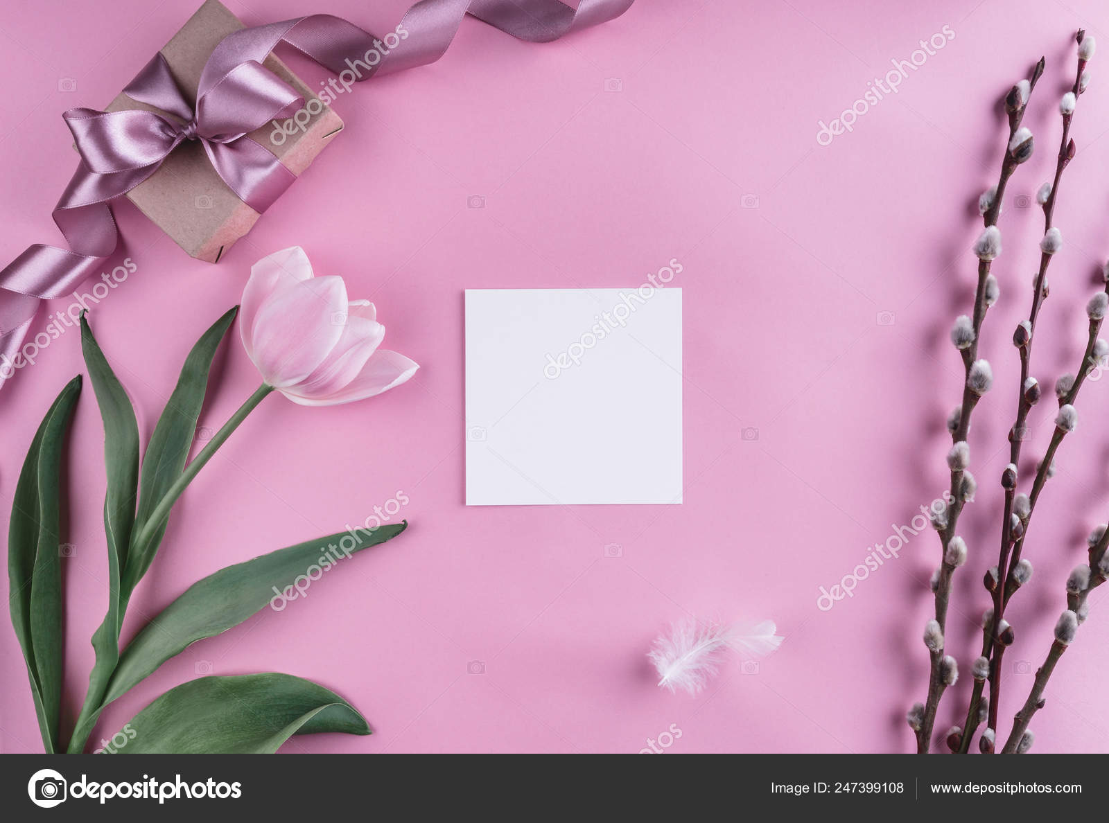 Tulip Spring Flowers Pink Background Greeting Card Waiting Spring Flat ...