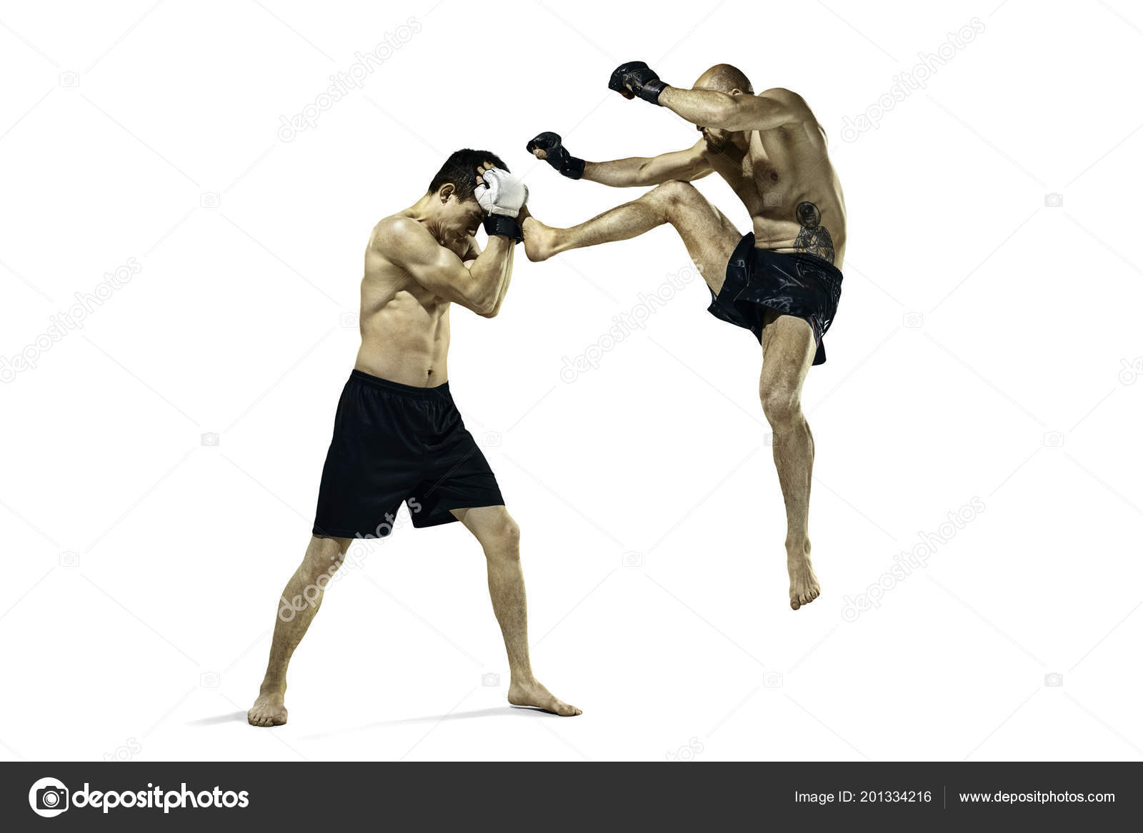 Two professional boxer boxing isolated on white studio background ...