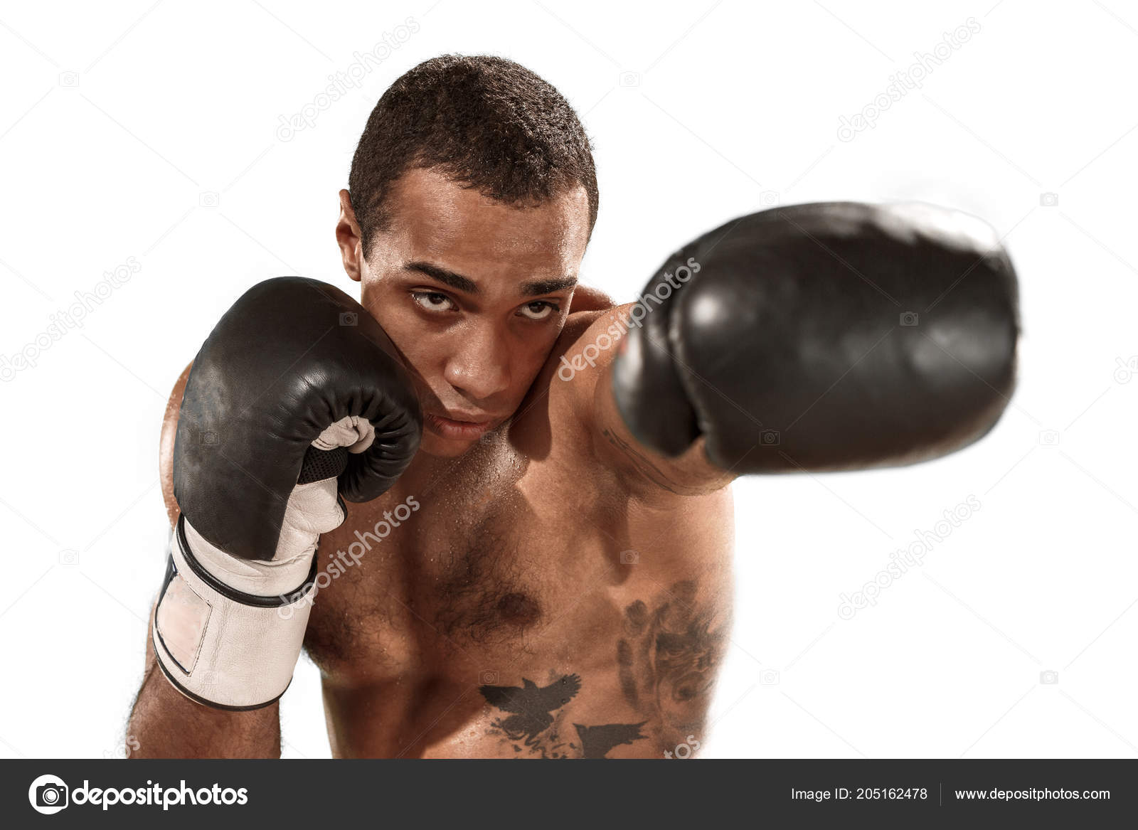 Sporty man during boxing exercise. Photo of boxer on white background ...