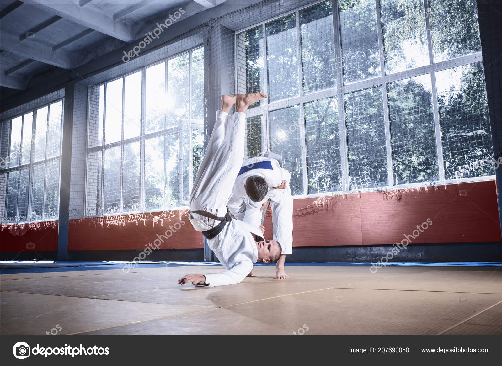 Two judo fighters showing technical skill while practicing martial arts ...