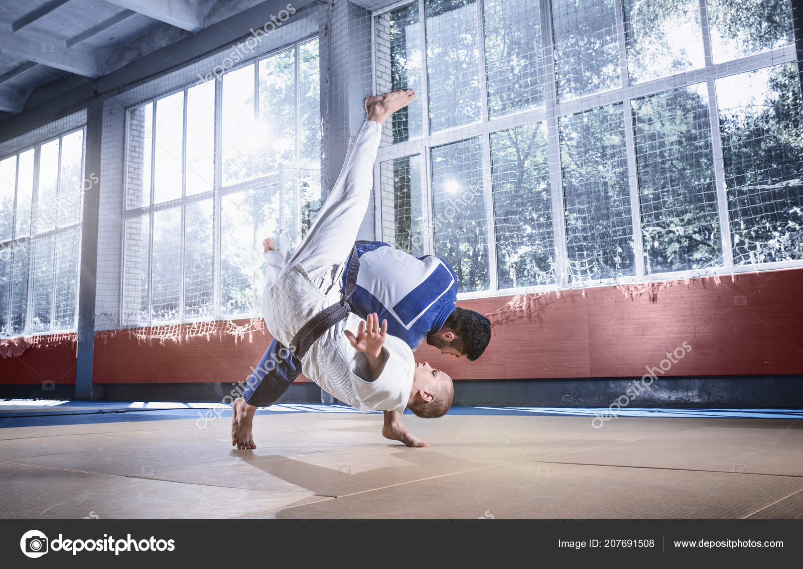 Two judo fighters showing technical skill while practicing martial arts ...