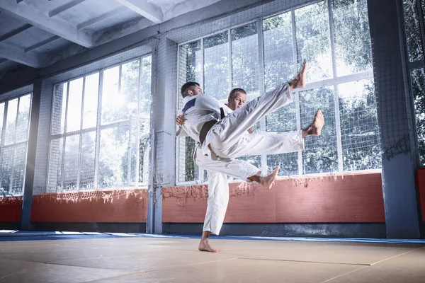 Two judo fighters showing technical skill while practicing martial arts ...