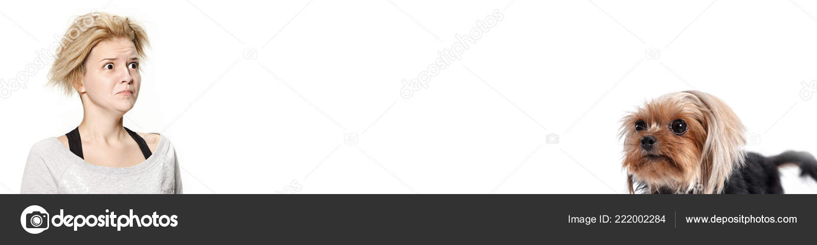 Surprised Scared Woman Her Dog White Background Yorkshire Terrier ...