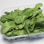 Green baby spinach in a clear box Stock Photo by ©PixelsAway 2062089