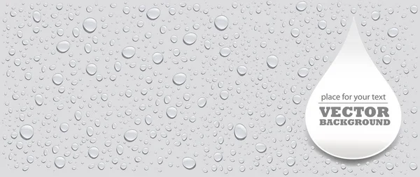 Blue water drops background with place for text Stock Vector Image by ...