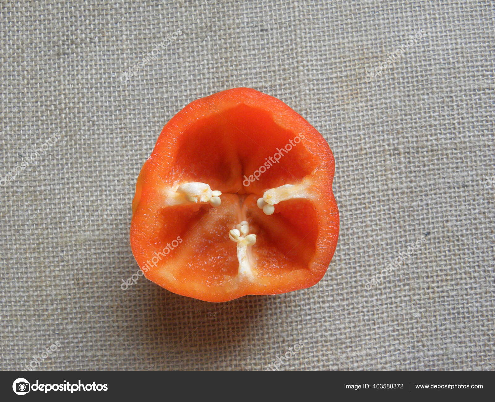 Cut Cross Section Detail Red Color Raw Bell Pepper Stock Photo by ...