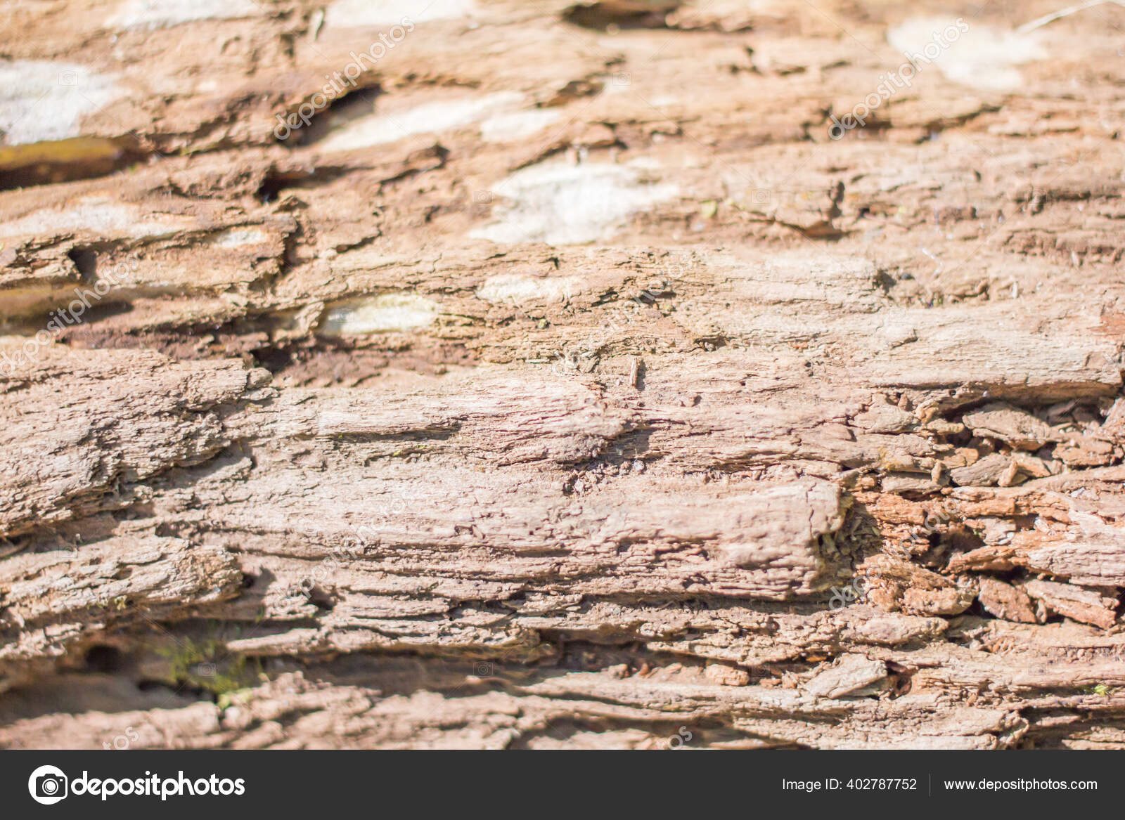 Wood Texture Simple Background — Stock Photo © JtmNovember954 #402787752