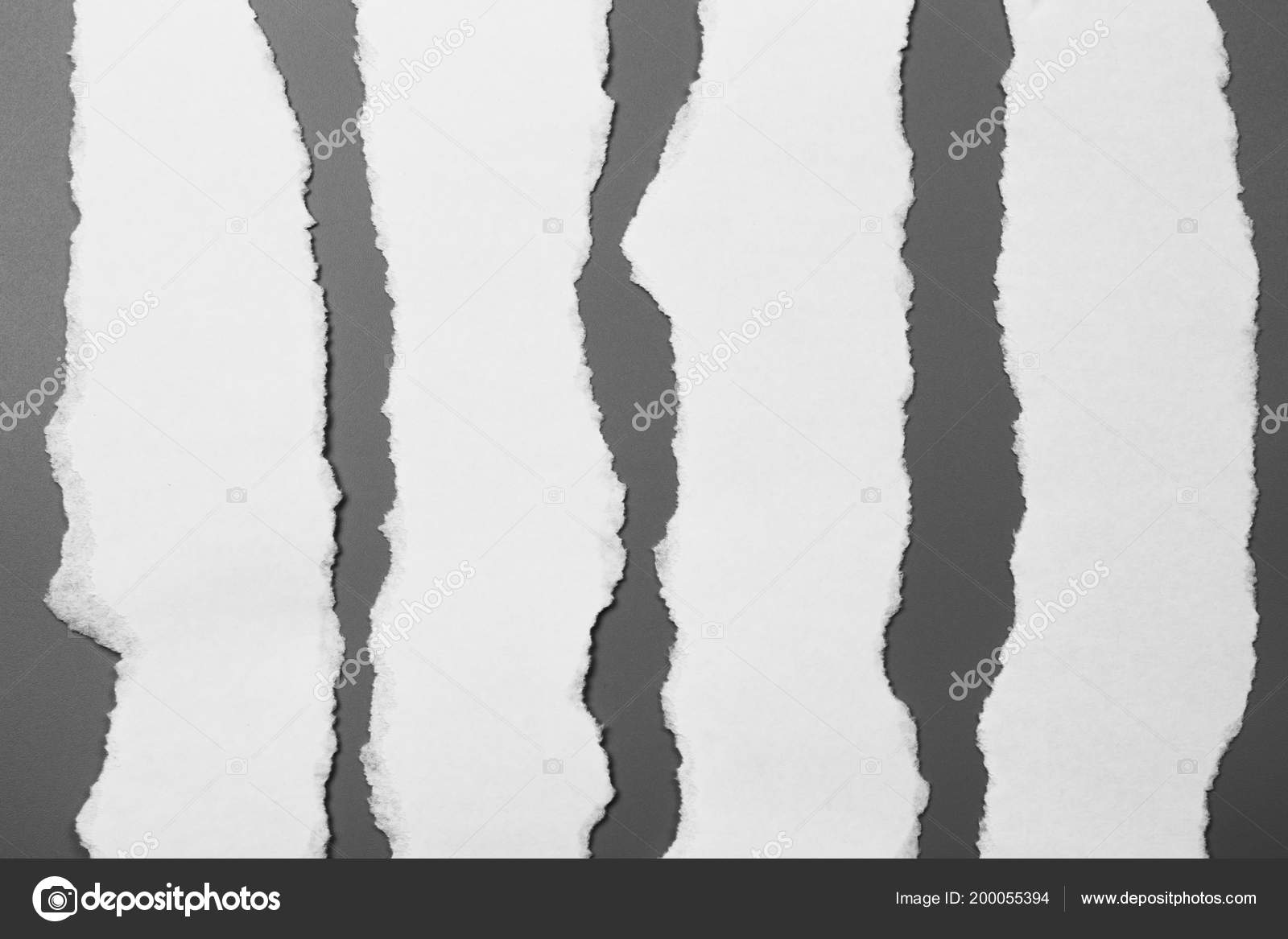 White Torn Paper Gray Background Collection Paper Rip Stock ...