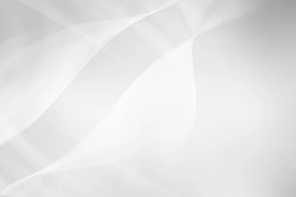 Light Grey Abstract Background