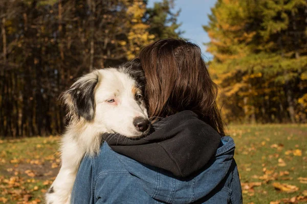 Melhor amigo humano Stock Photos, Royalty Free Melhor amigo humano ...