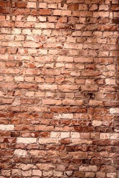 Red brick wall texture background — Stock Photo © RoyStudio #14050231