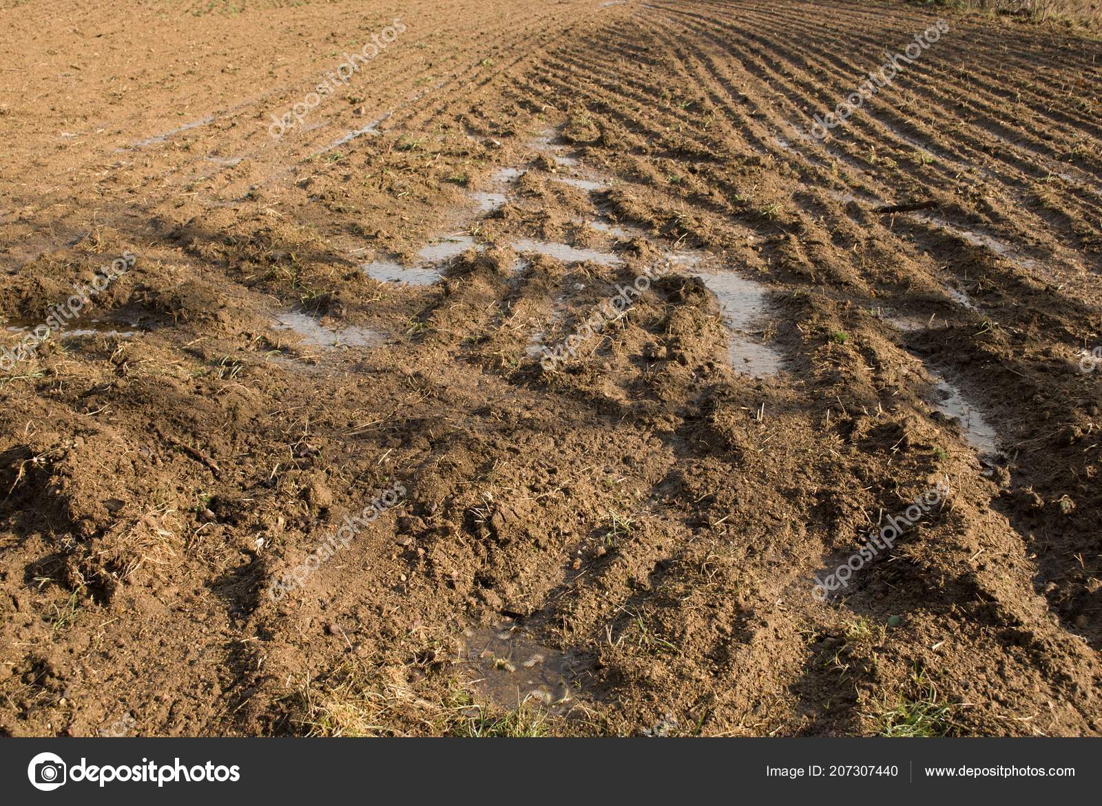 Wet Field Plow Sun's Rays Stock Photo by ©palickam 207307440