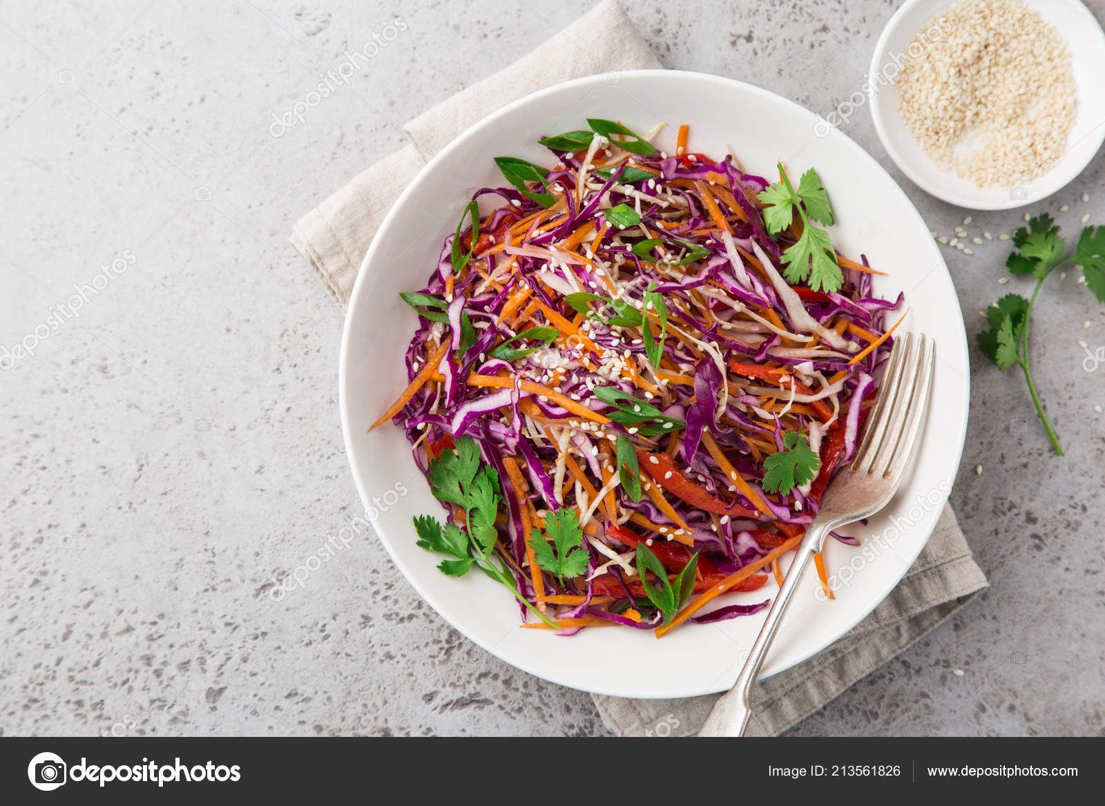 Red Cabbage Carrot Bell Pepper Cole Slow Salad Healthy Vegan — Stock ...