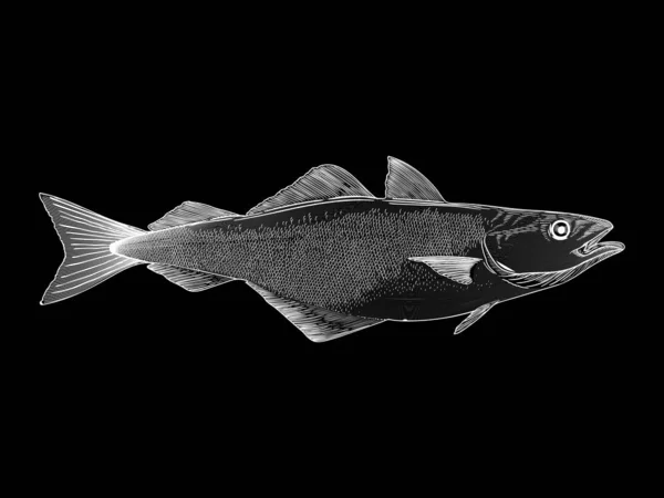 White on black Milkfish vector illustration Stock Vector Image by ...