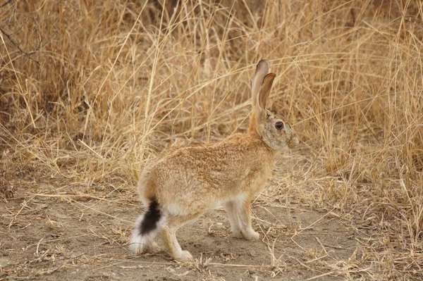 DeidreM Portfolio: Stock Photos, Vectors, Video, Audio | Depositphotos