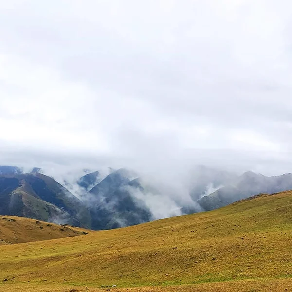 Pyrenees loop Stock Photos, Royalty Free Pyrenees loop Images | Depositphotos