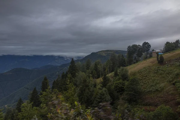 Ajloun Castle is a Muslim castle situated in northwestern Jordan. It is ...