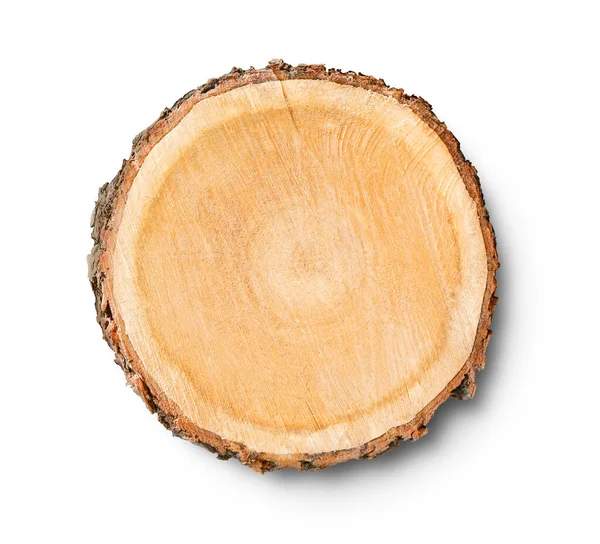 Tree section Stock Photos, Royalty Free Tree section Images | Depositphotos