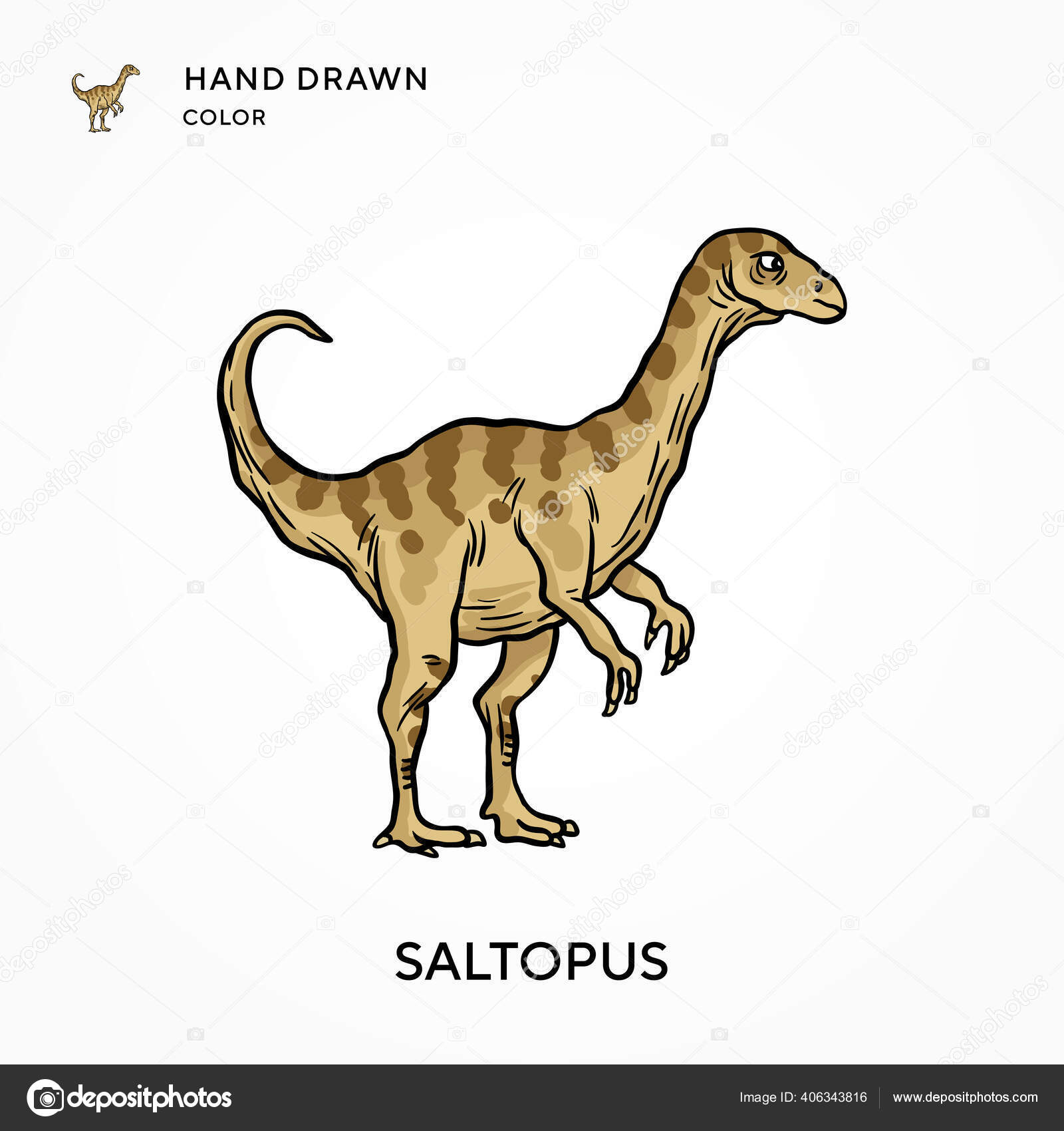 Saltopus Coloring Page