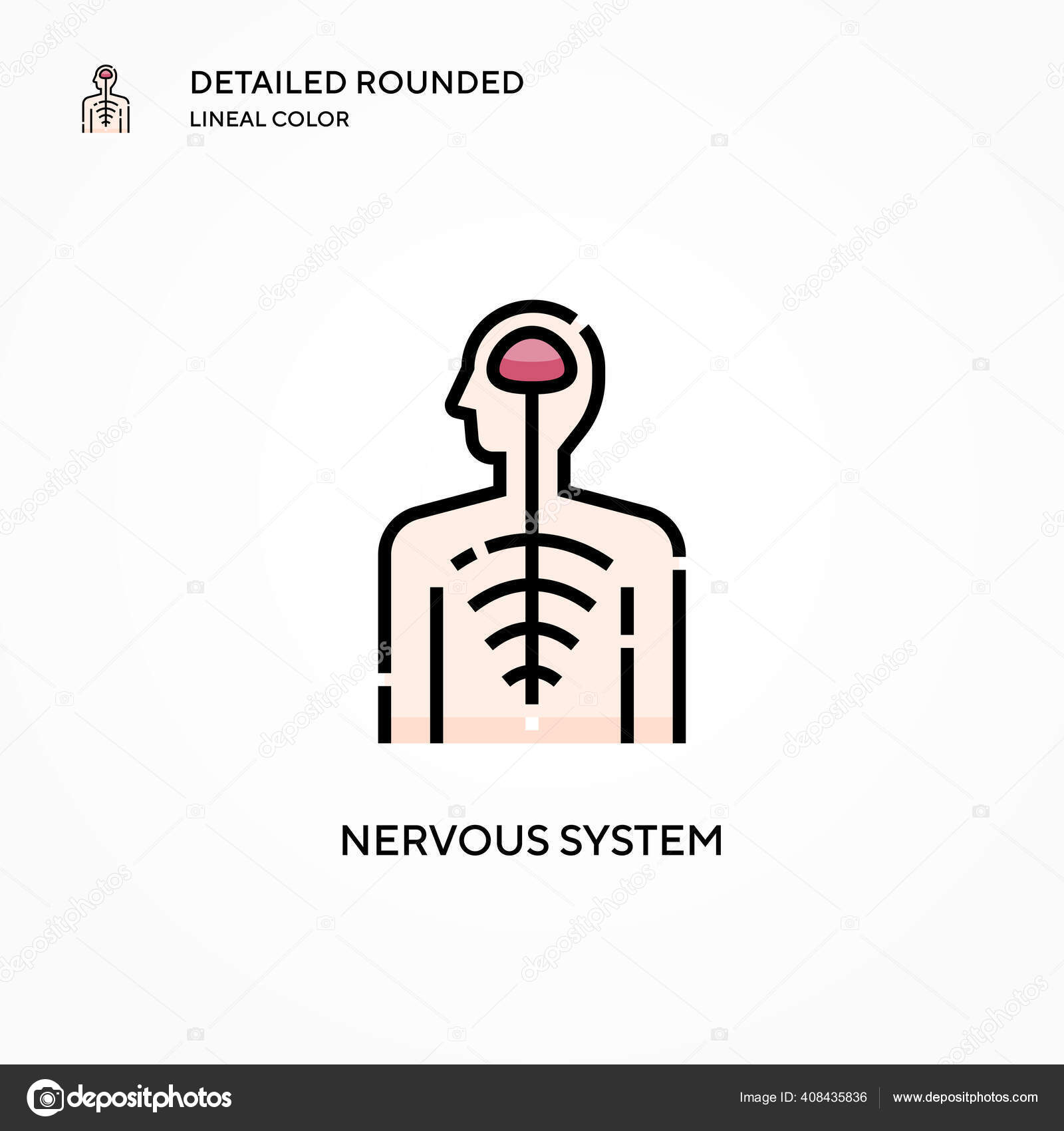 Nervous System Vector Icon Modern Vector Illustration Concepts Easy ...