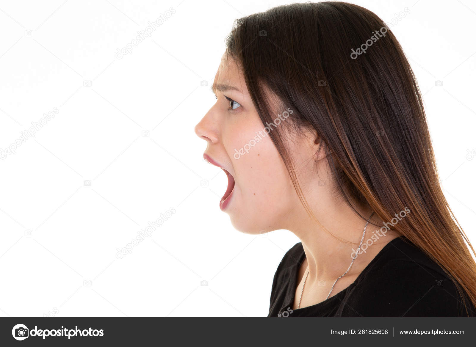 Screaming Face Side Profile