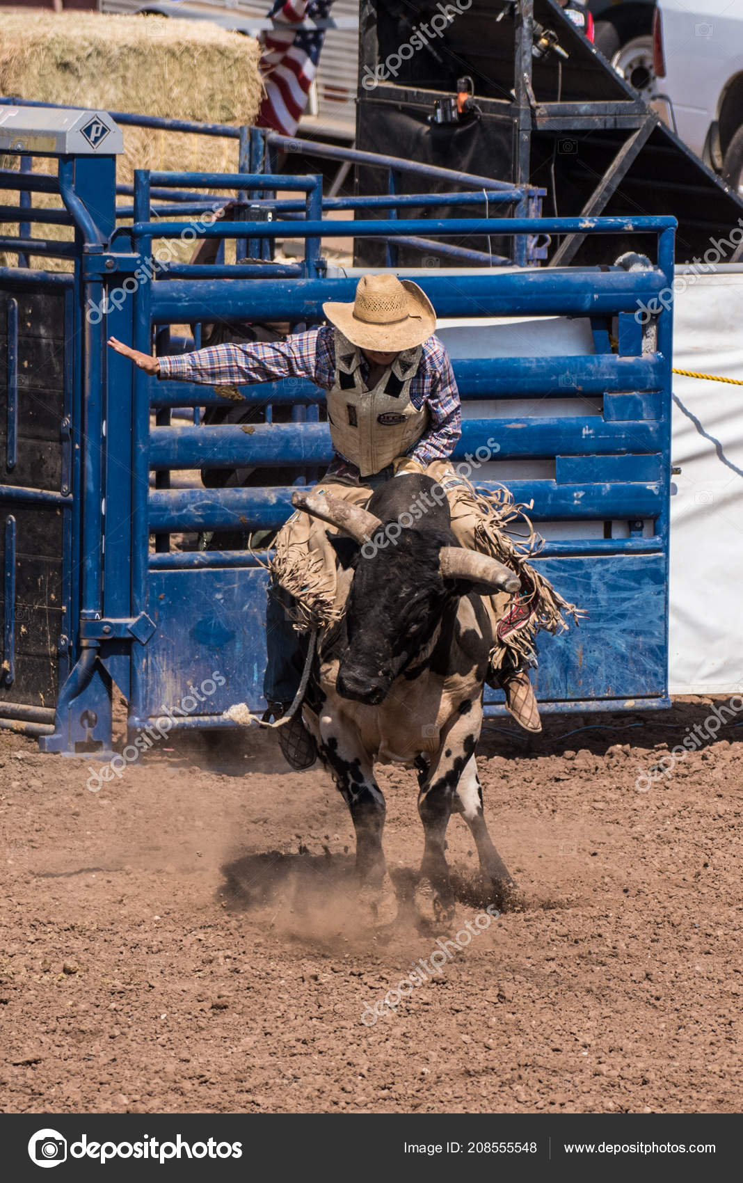 Cowboy Bull Rushing Out Gate See Who Prevails Bull Riding – Stock ...