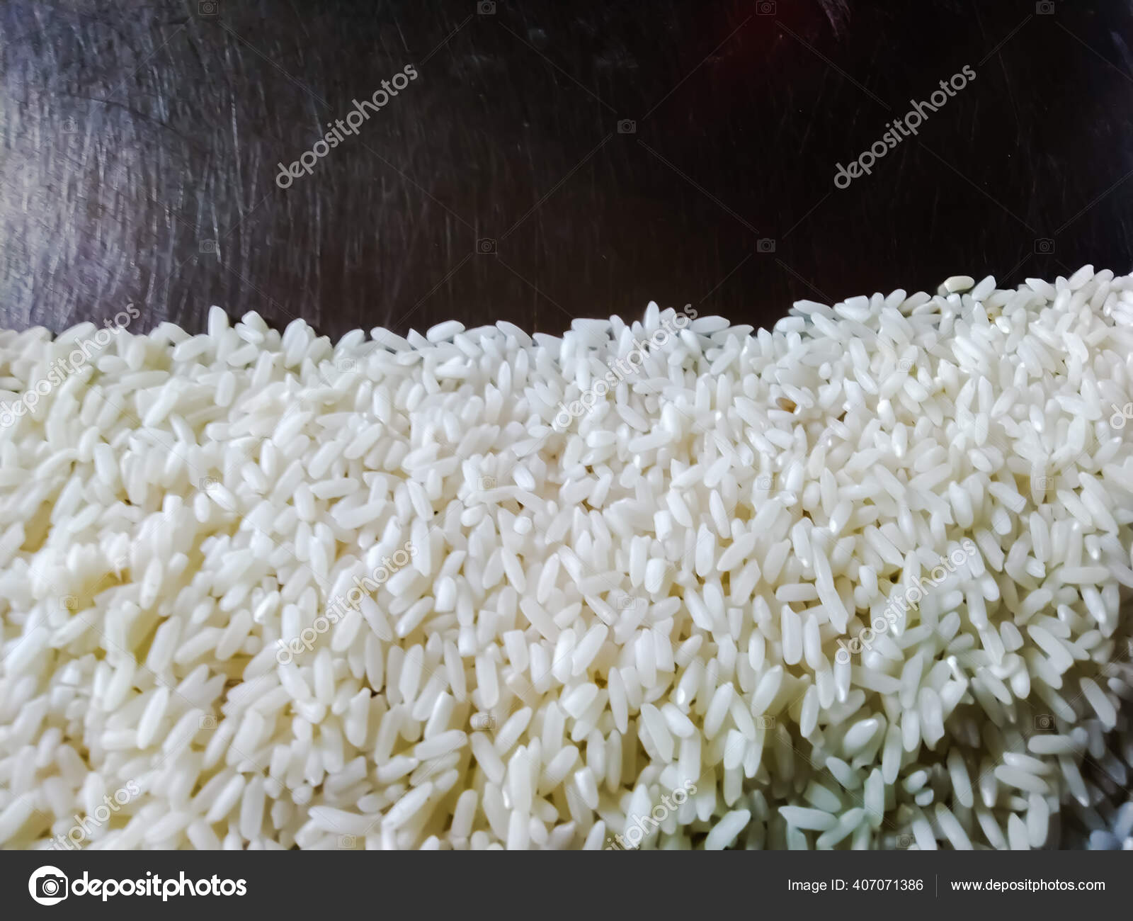 Beautiful Fresh Rice Grains Fields — Stock Photo © gudumalabhargav ...