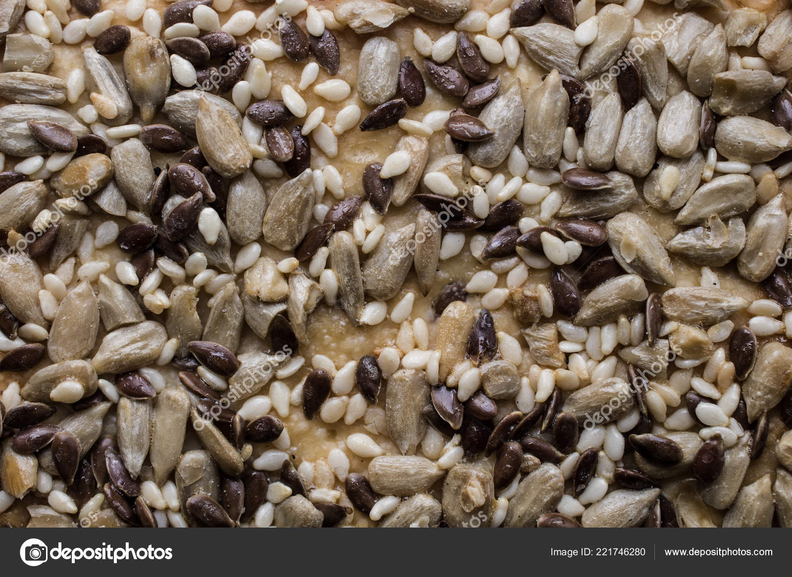 Texture Different Seeds — Stock Photo © vi0222 #221746280
