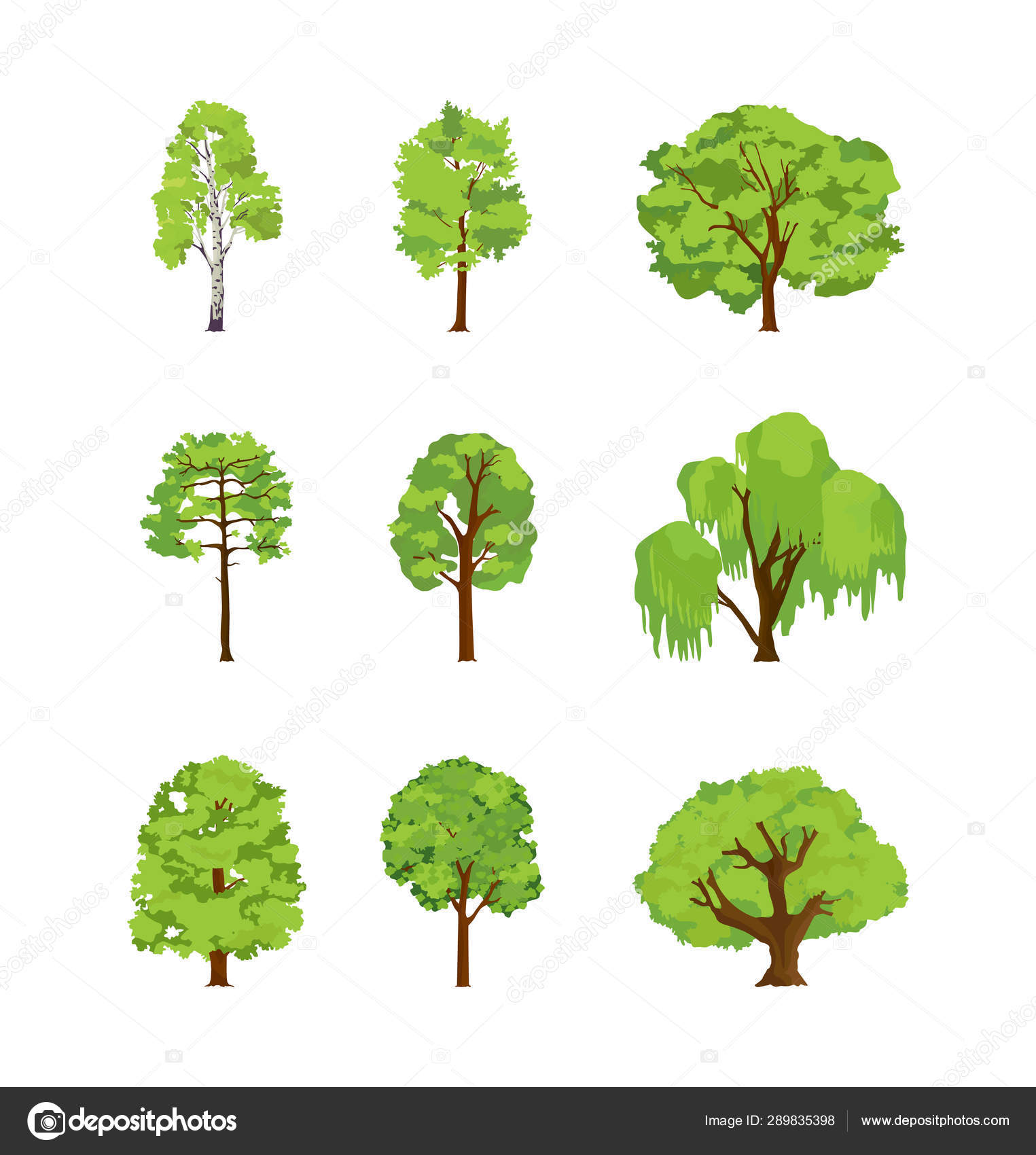 Poplar Tree Clipart