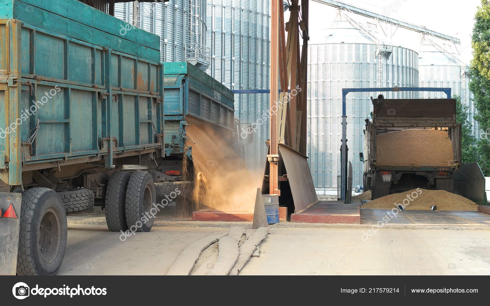 Grain trucks dumping grain. Stock Photo by ©Denisfilm 217579214