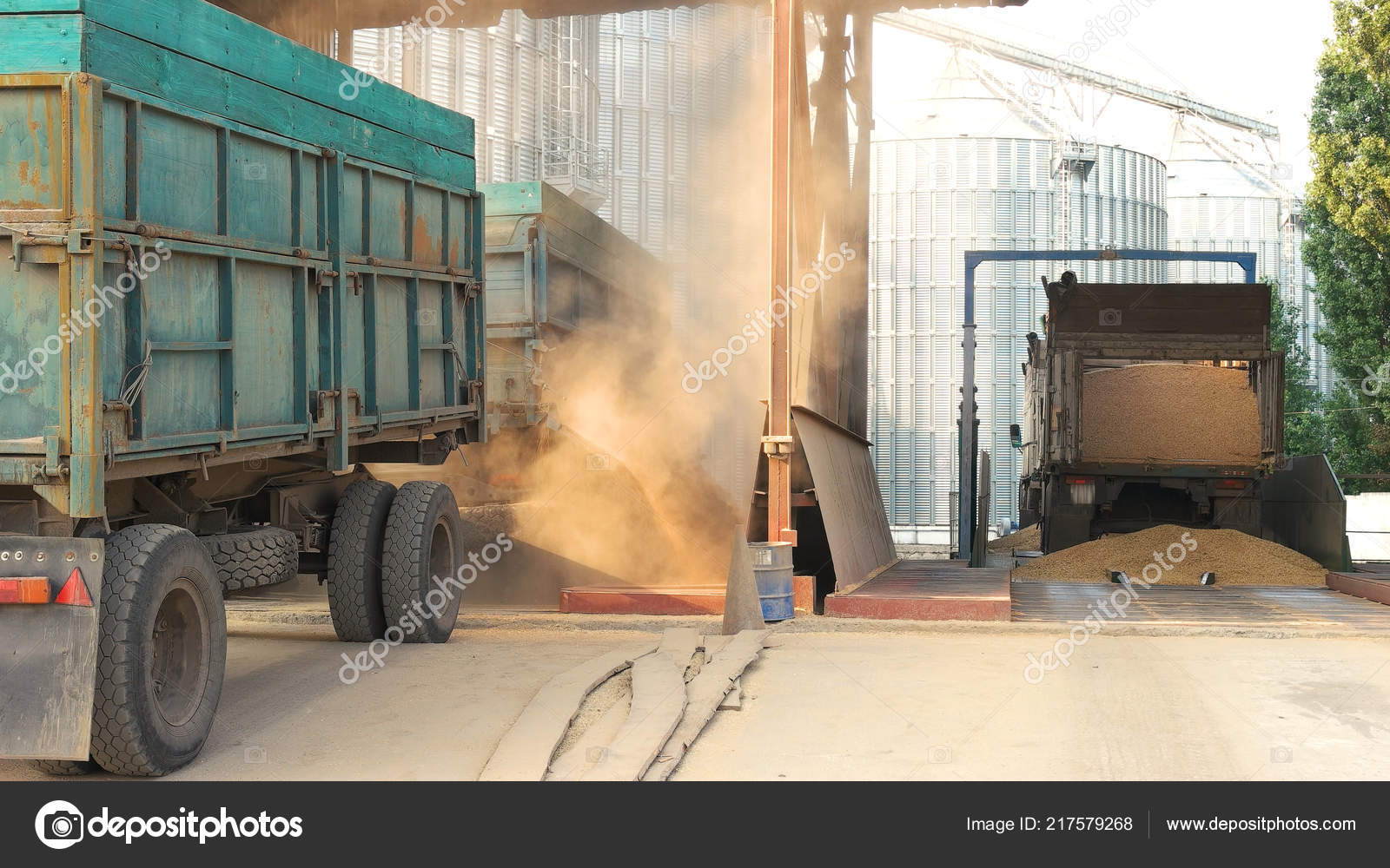 Trucks dumping grain in a warehouse after harvest. Stock Photo by ...