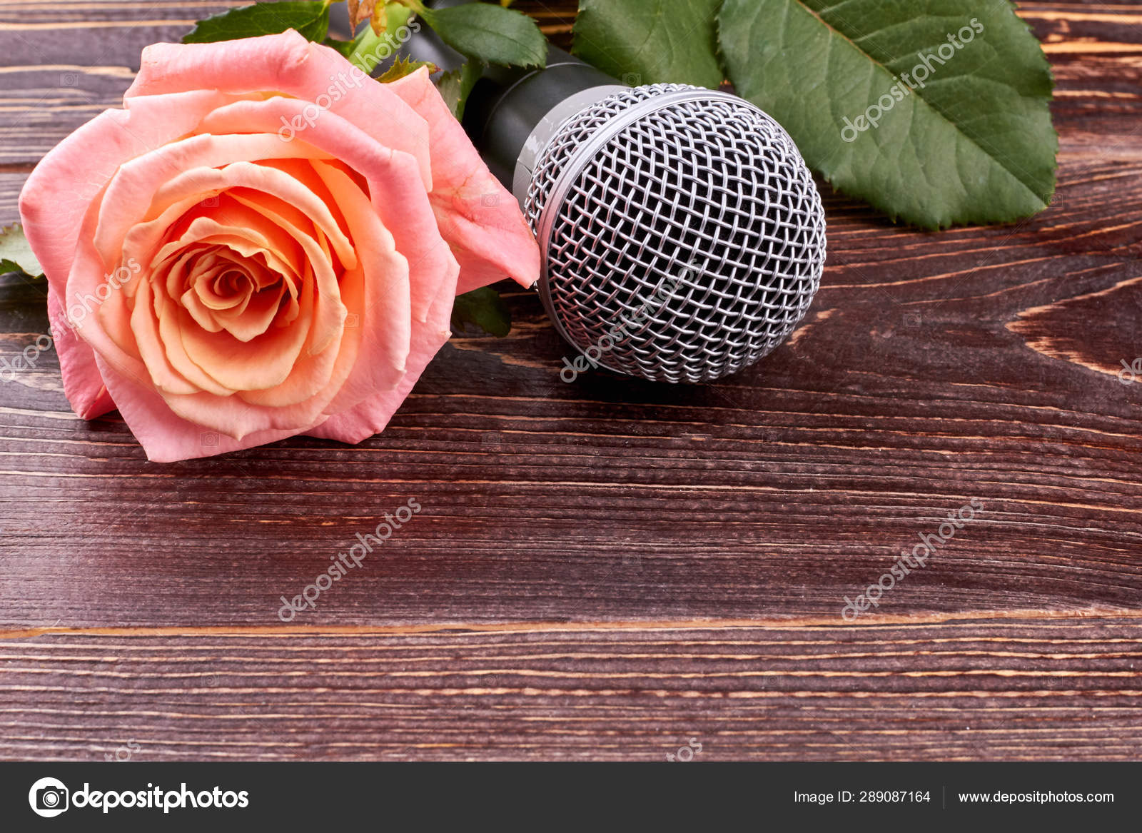 Microphone and pink rose on wooden background. — Stock Photo ...