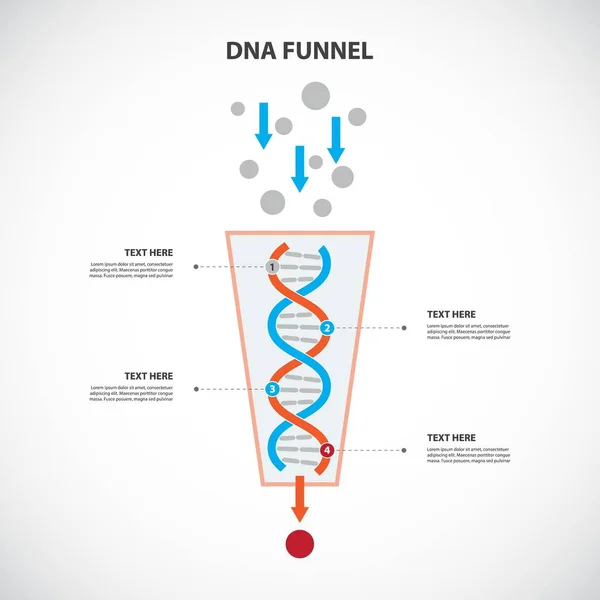 DNA vs RNA vector illustration. Educational genetic acid explanation scheme Stock Vector Image ...
