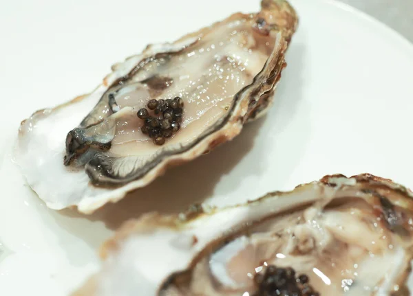 Fotos de Ostra labial preta, Imagens de Ostra labial preta sem ...