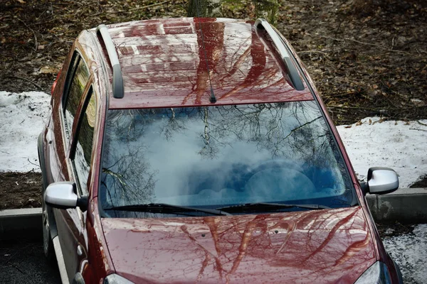 type of the car from above with reflection of the sky and trees in a ...