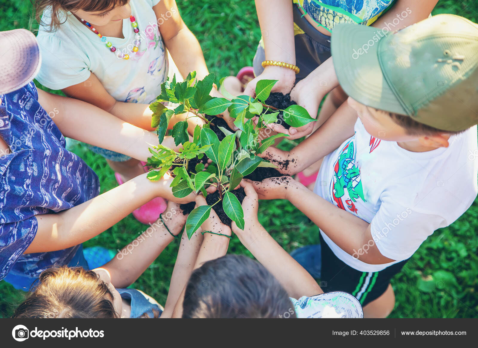 Children Hold Earth Trees Hands Selective Focus Nature Stock Photo by ...