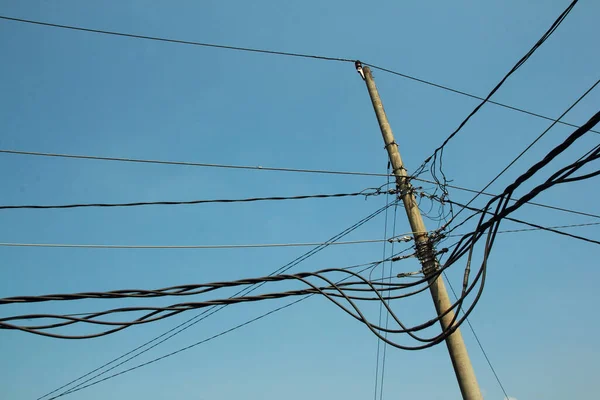 Pepco Stock Photos, Royalty Free Pepco Images | Depositphotos