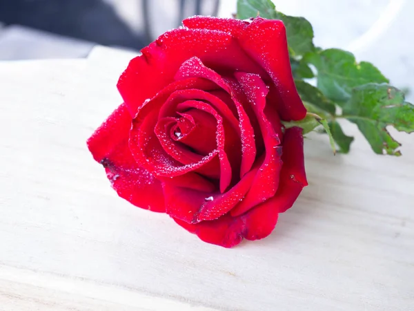 Red spray roses bouquet Stock Photos, Royalty Free Red spray roses ...