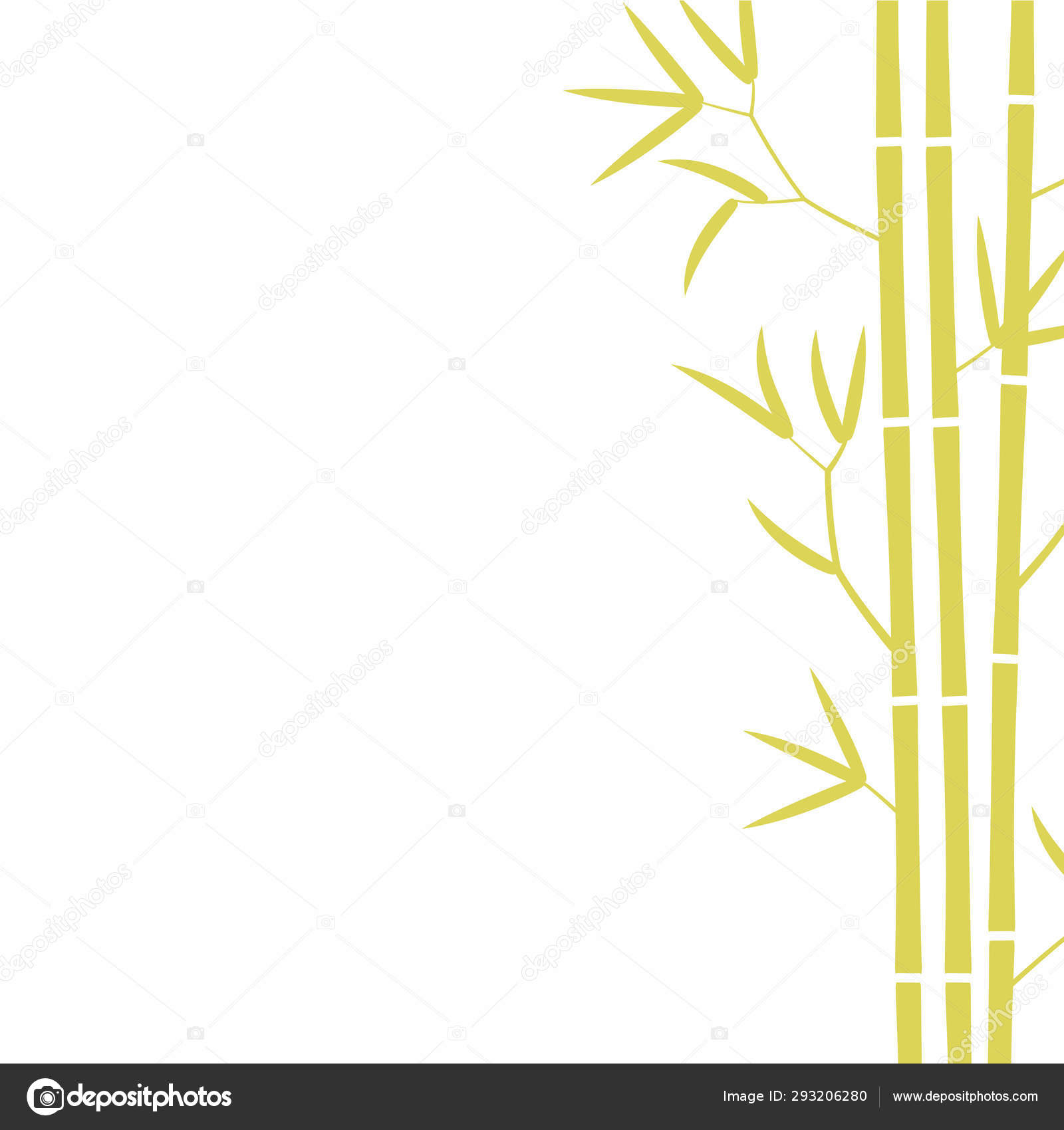 Bamboo card background template. Bamboos or bambusa plant backdrop ...