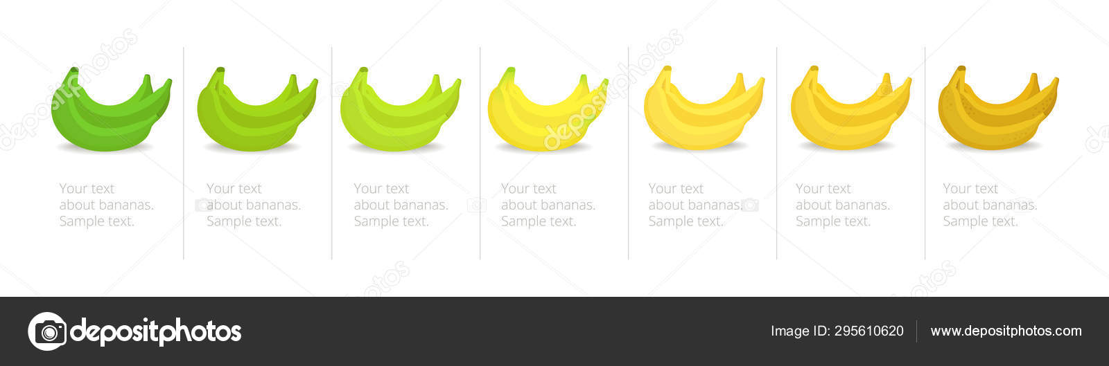 Banana ripeness stages infographics chart. Bunch of bananas colour ...