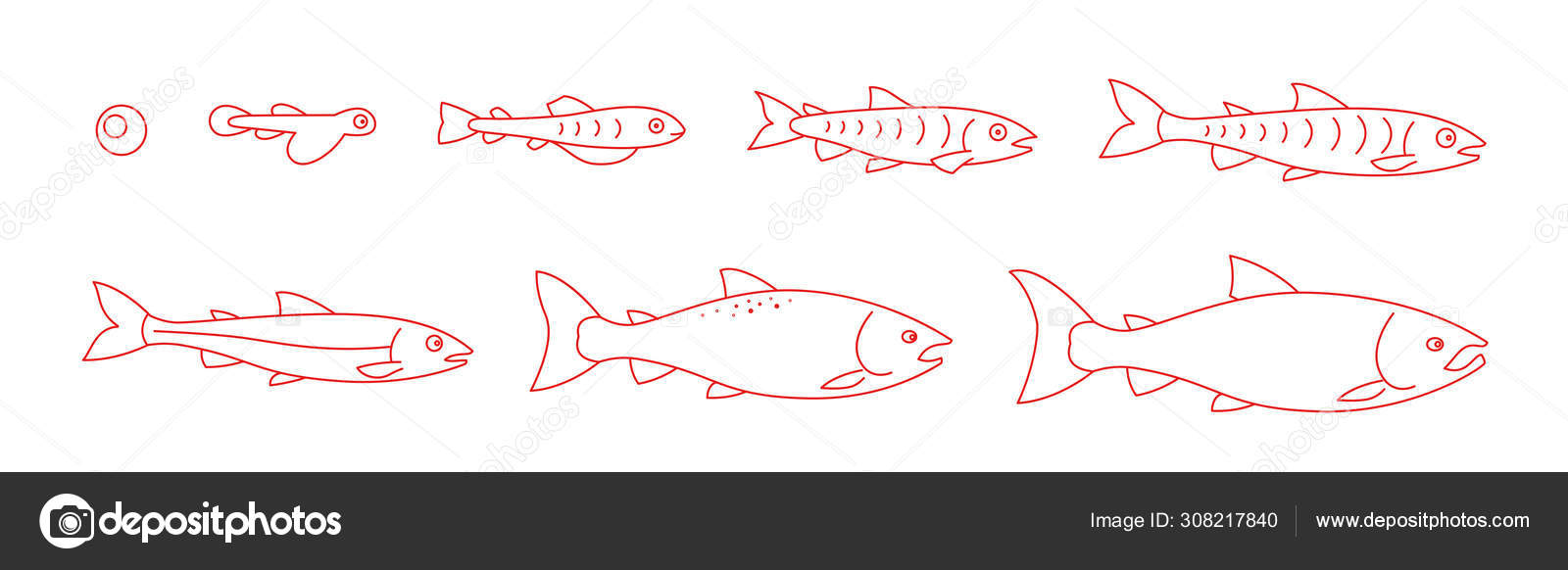 Life cycle of the Atlantic Salmon. Stages of salmon fish growth set ...