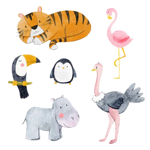 Flamingo tiger Stock Photos, Royalty Free Flamingo tiger Images ...